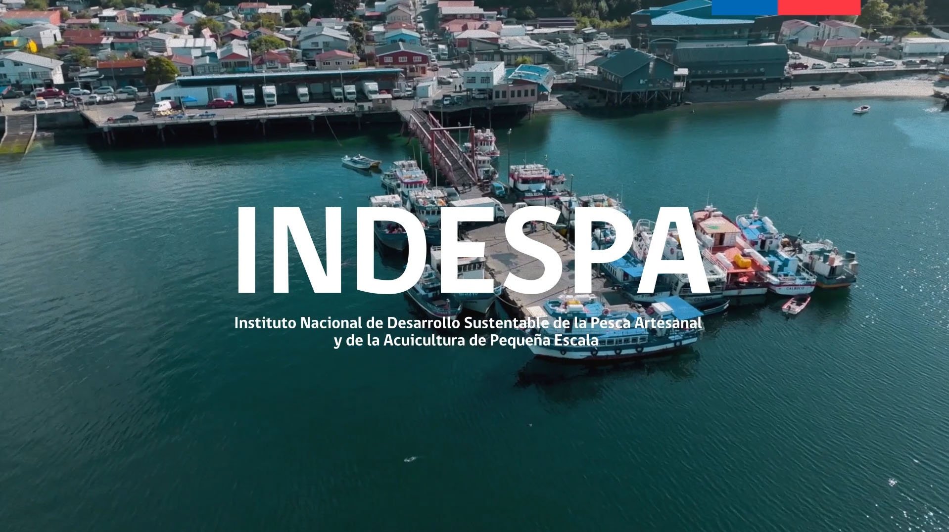 Inicio - INDESPA